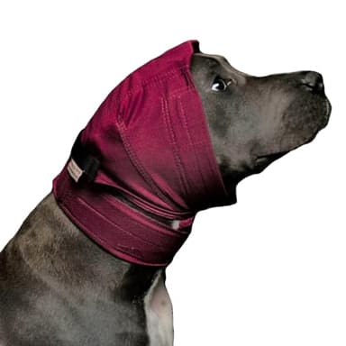 Our 10 Best No Flap Ear Wrap for 2026 [US] | OneClearWinner.com