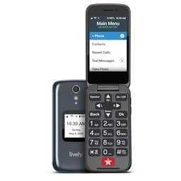 Our 10 Best Flip Phones With No Internet Access for 2026 [US ...