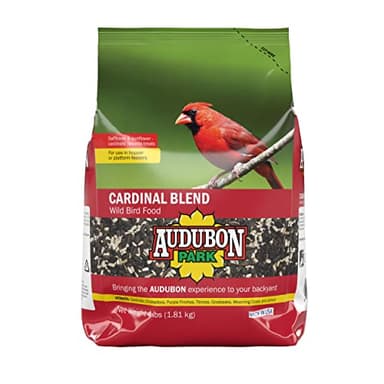 Our 10 Best Best Bird Food For Cardinals for 2026 [US] | OneClearWinner.com