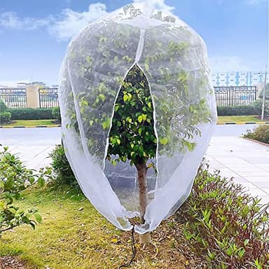 Our 10 Best Protecting Cherry Trees From Birds for 2026 [US ...